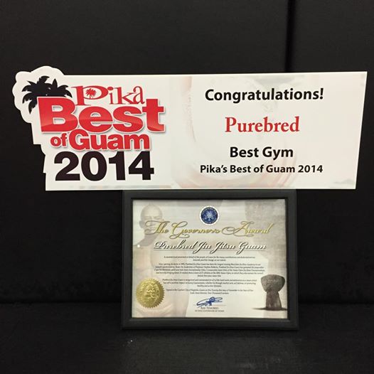 GMA Purebred Jiu-Jitsu Guam receive governor's award, voted best gym in ...